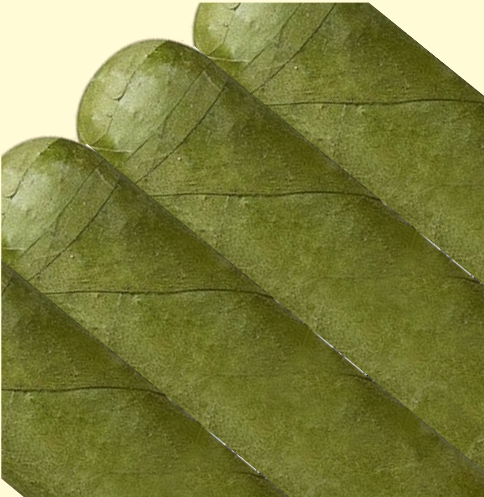 Candela Cigars Green Wrapper - Limited Edition Cigars| Bobalu — Bobalu ...
